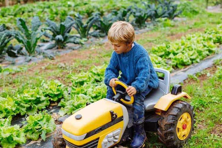 Best Garden Tractors of 2024 (Unbiased Reviews)