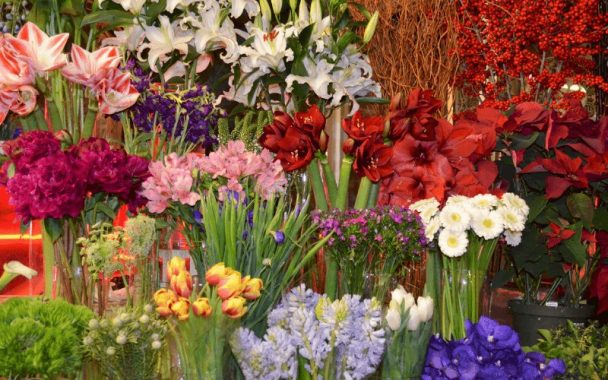 83 Names of Flowers in Alphabetical Order {A-Z + PHOTOS}