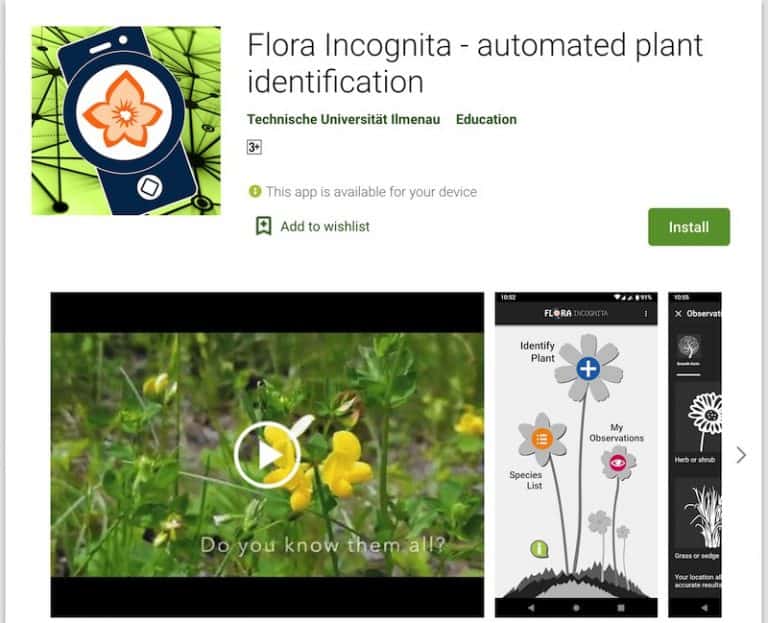 11 Best Free Plant Identification Apps (For Android & iOS)