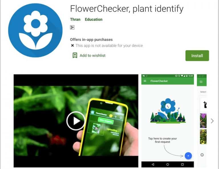 11 Best Free Plant Identification Apps (For Android & iOS)