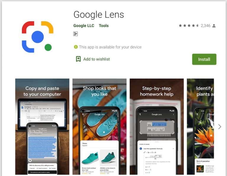 11 Best Free Plant Identification Apps (For Android & iOS)