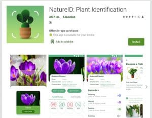 8 Best Tree Identification Apps 2023 (For Android & iOS)