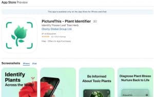 8 Best Tree Identification Apps 2022 (For Android & iOS)
