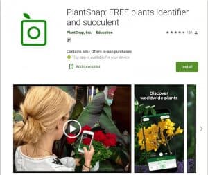 11 Best Free Plant Identification Apps (For Android & iOS)