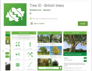 8 Best Tree Identification Apps 2023 (For Android & iOS)