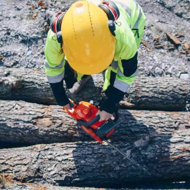 Top 5 Hand Saws for Cutting Logs