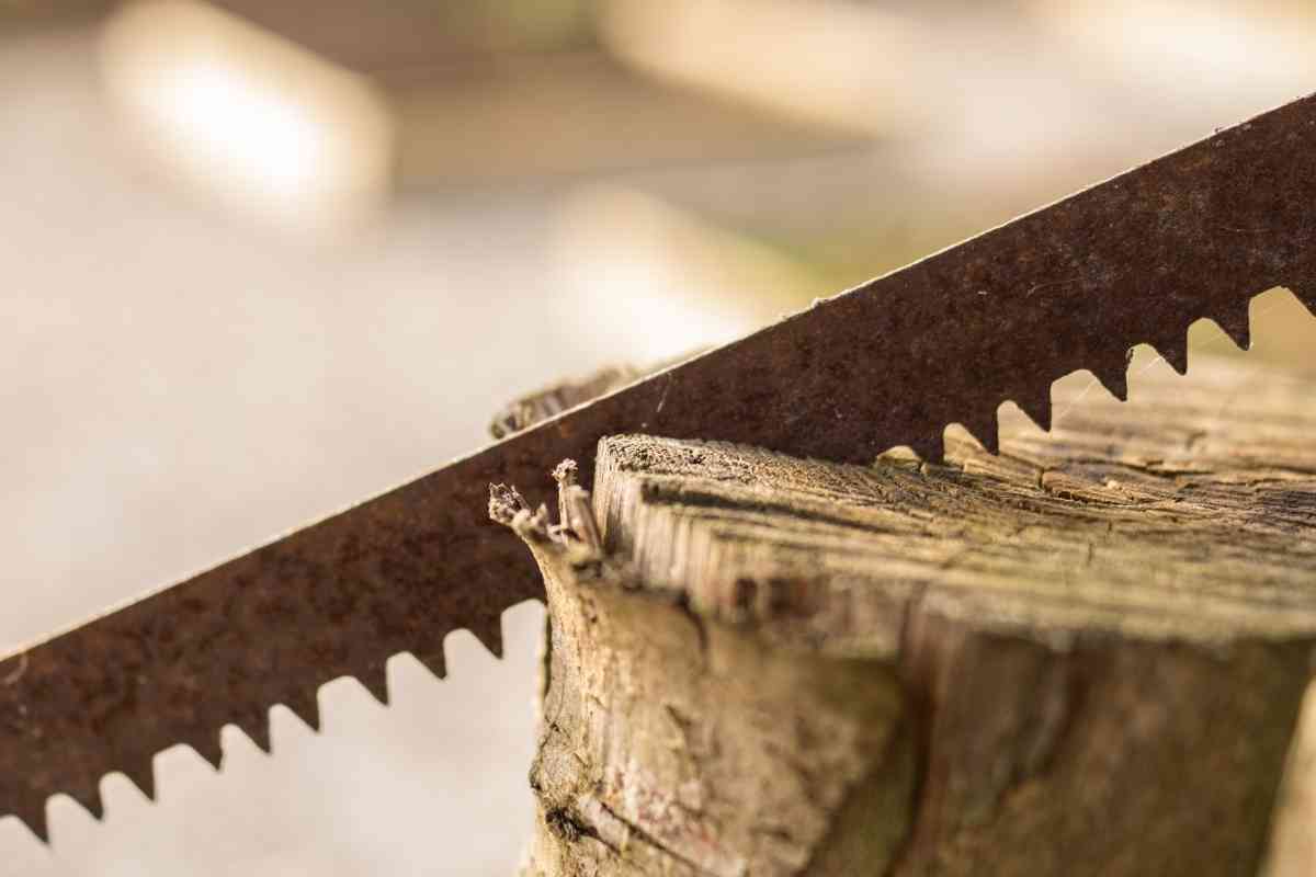 Top 5 Hand Saws For Cutting Logs