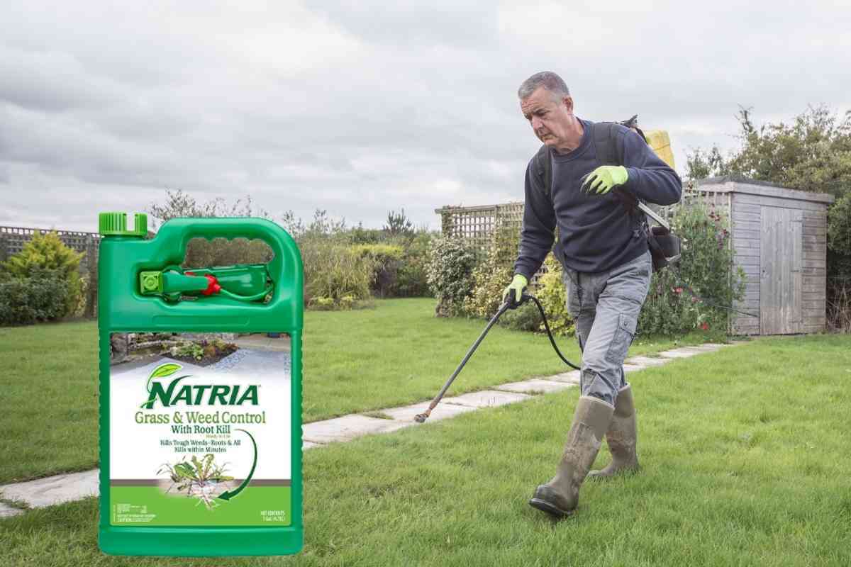 Is Natria Weed Killer Organic?