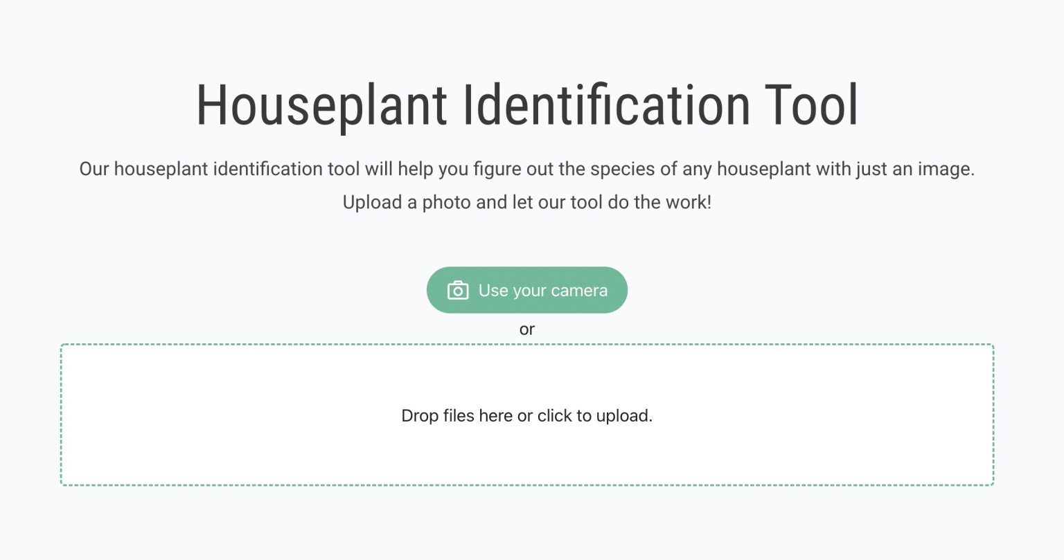 11 Best Free Plant Identification Apps (For Android & iOS)