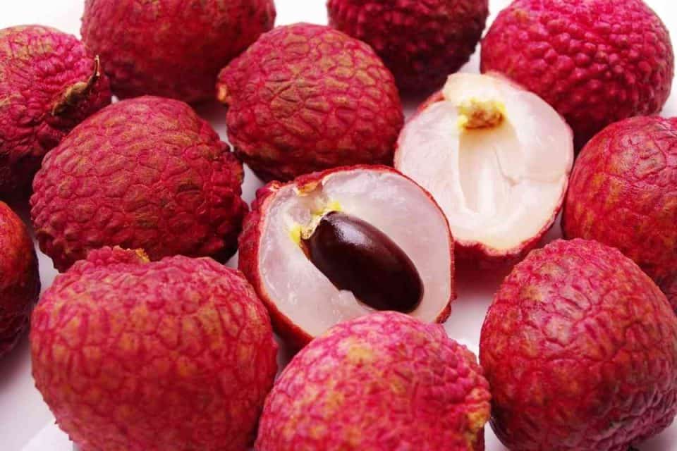 Is Lychee a Fruit? (Lychee Classification)