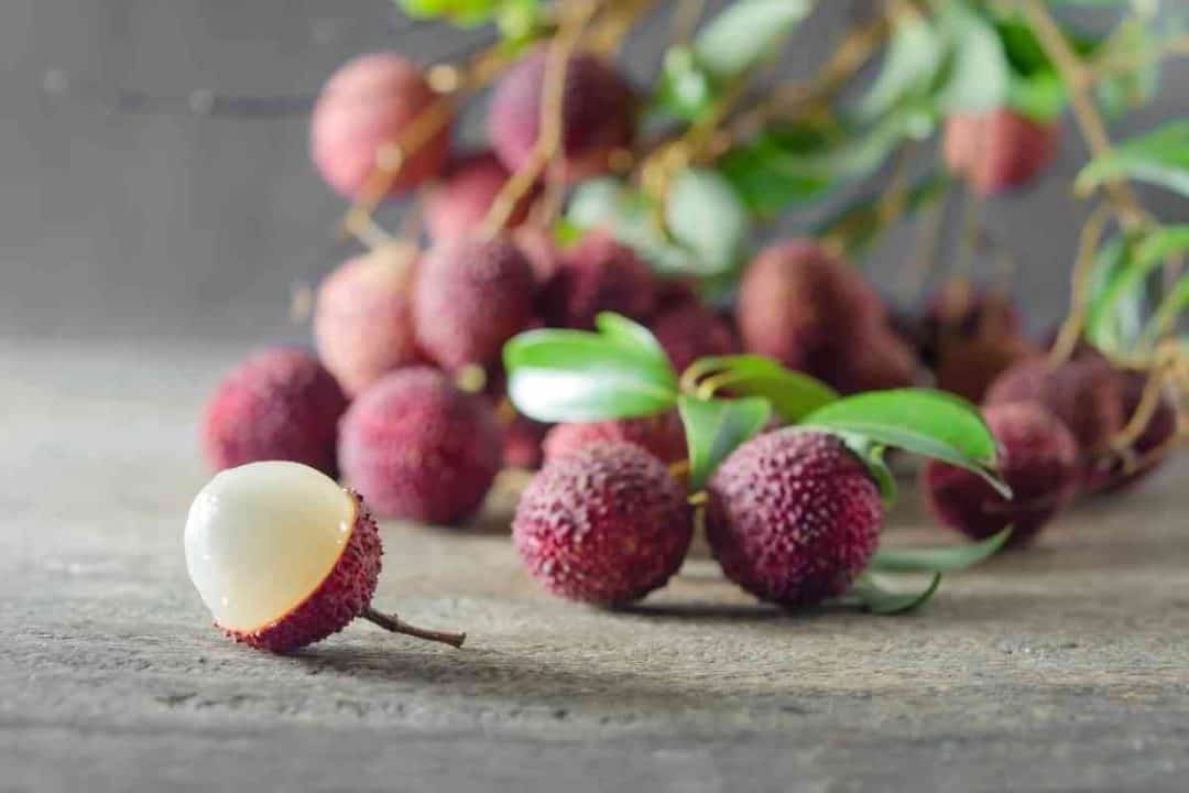 Is Lychee a Fruit? (Lychee Classification)