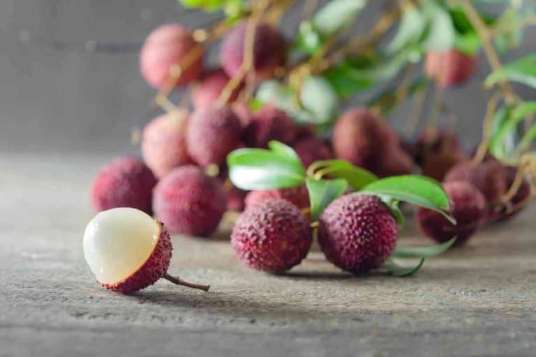 Is Lychee a Fruit? (Lychee Classification)