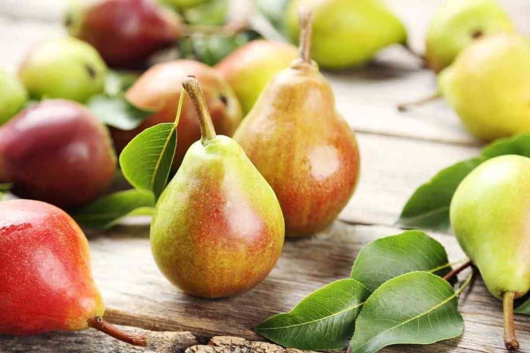 Is a Pear a Fruit or a Vegetable?