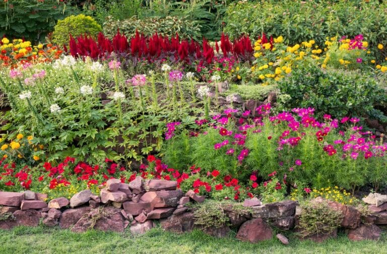 25 Perennial Flowers That Bloom From Spring To Fall