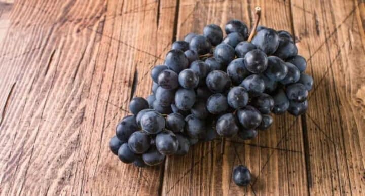 Black Sapphire Grapes Growing Guide + Variety Info