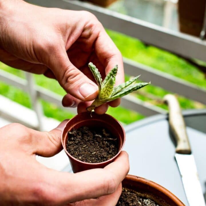 How to Propagate Ruby Cascade (3 Best Methods)