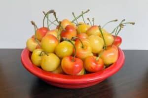 Rainier Cherries Growing Guide (Everything to Know)
