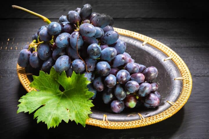 Gum Drop Grapes Growing Guide And Variety Info